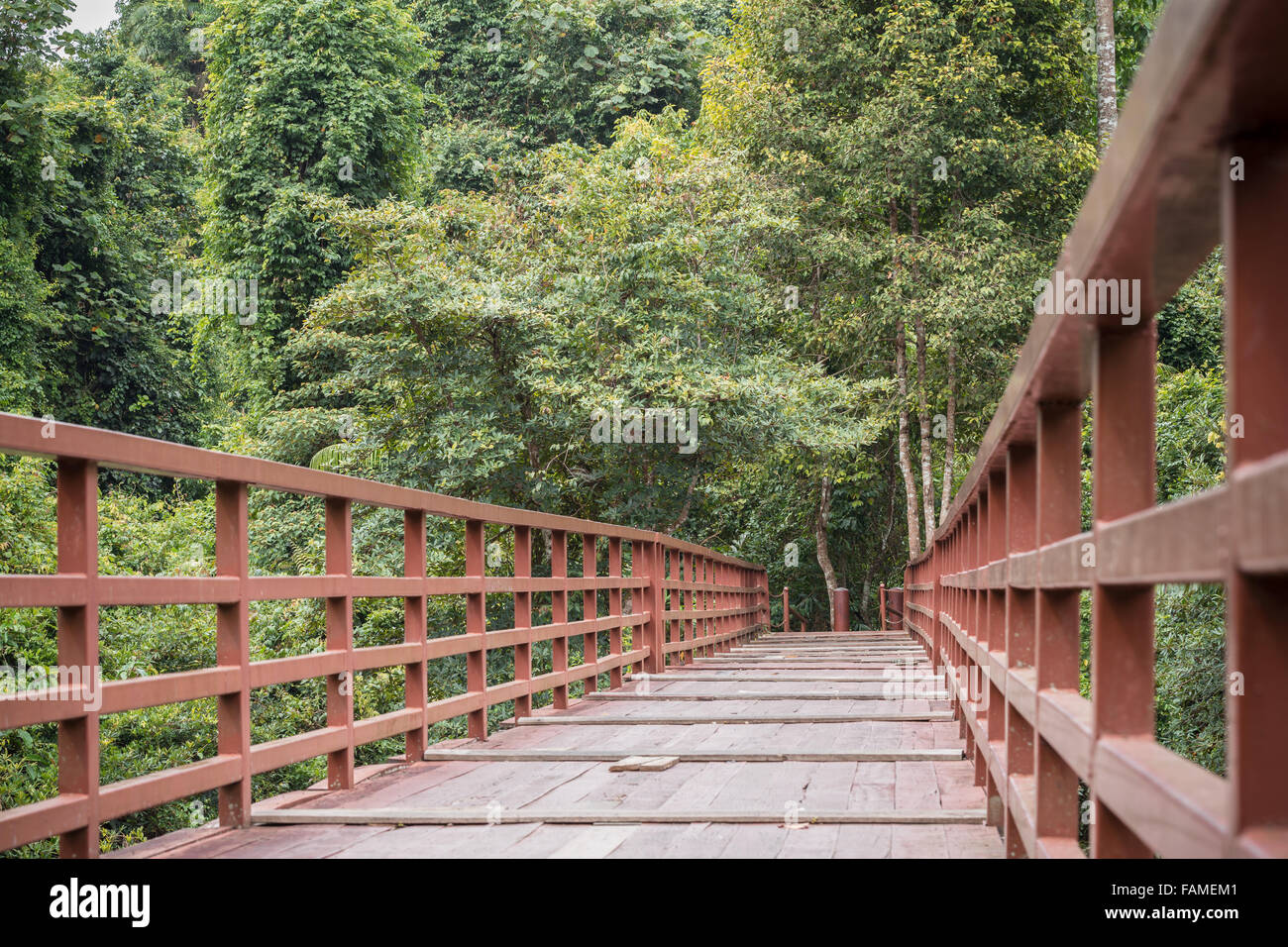 Walking wood bridge in the park, having tree as background Stock Photo ...