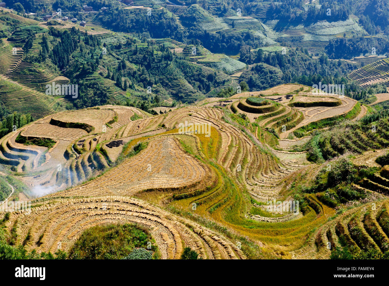 Jinkeng (Dazhai) Red Yao Terraced Fields,Surrounding Area,Rice Terraces ...