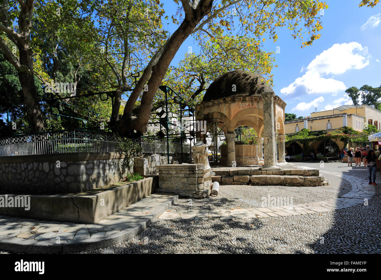 The Hippocrates plane tree, planted by Hippocrates, Plane Tree Square ...