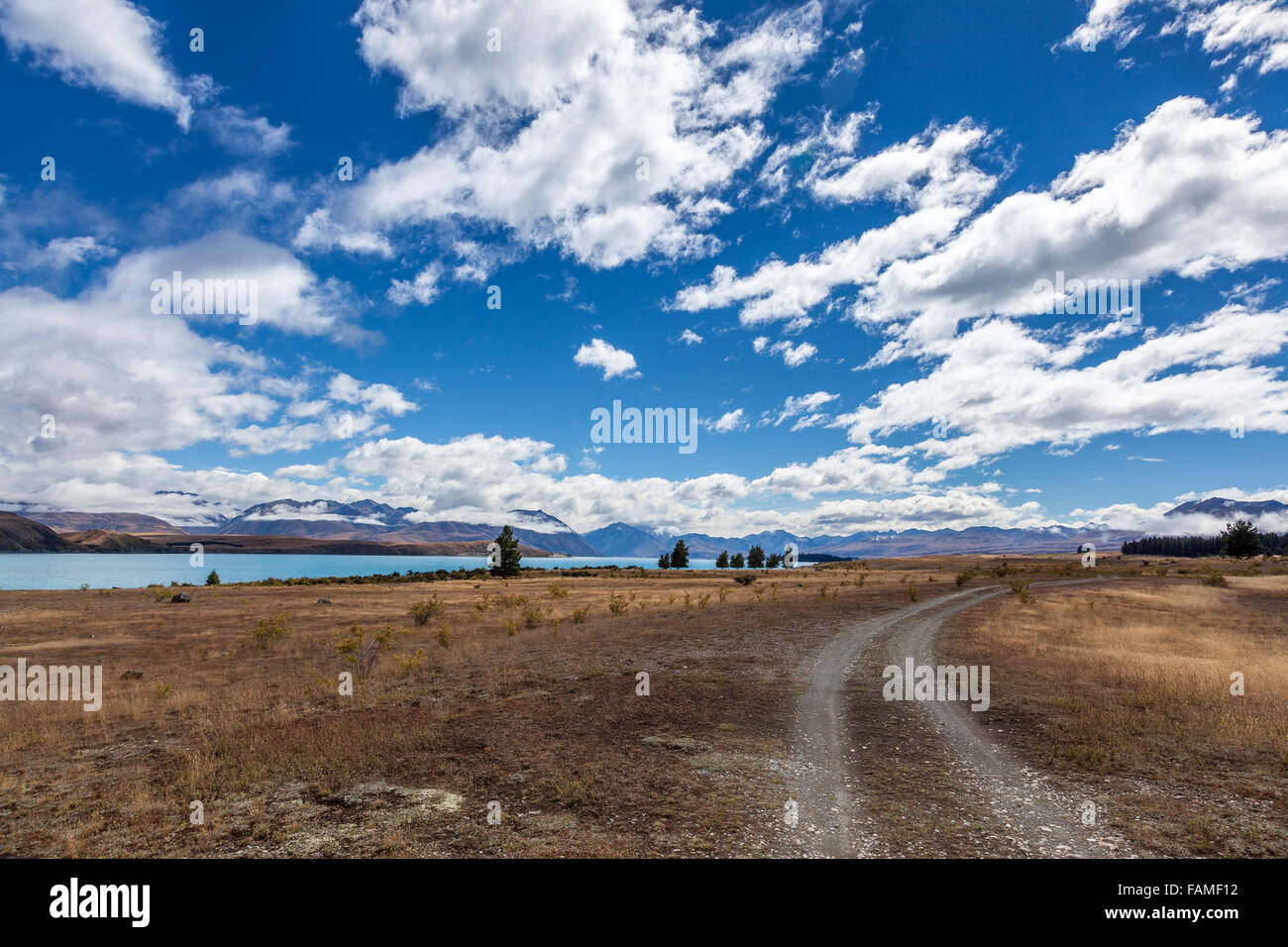 Track running alongside Lake Tekapo Stock Photo - Alamy