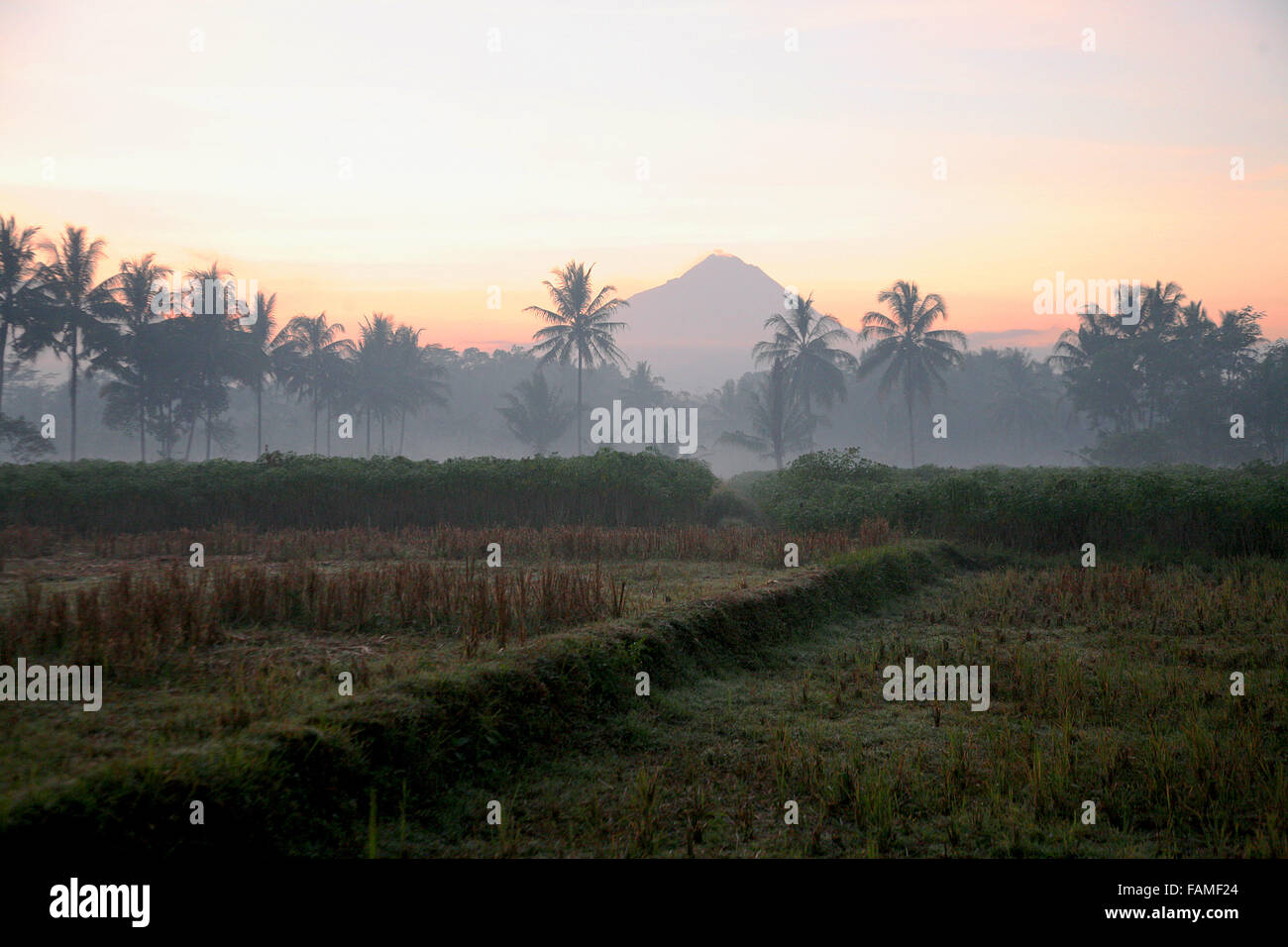 Mount merapi hi-res stock photography and images - Alamy