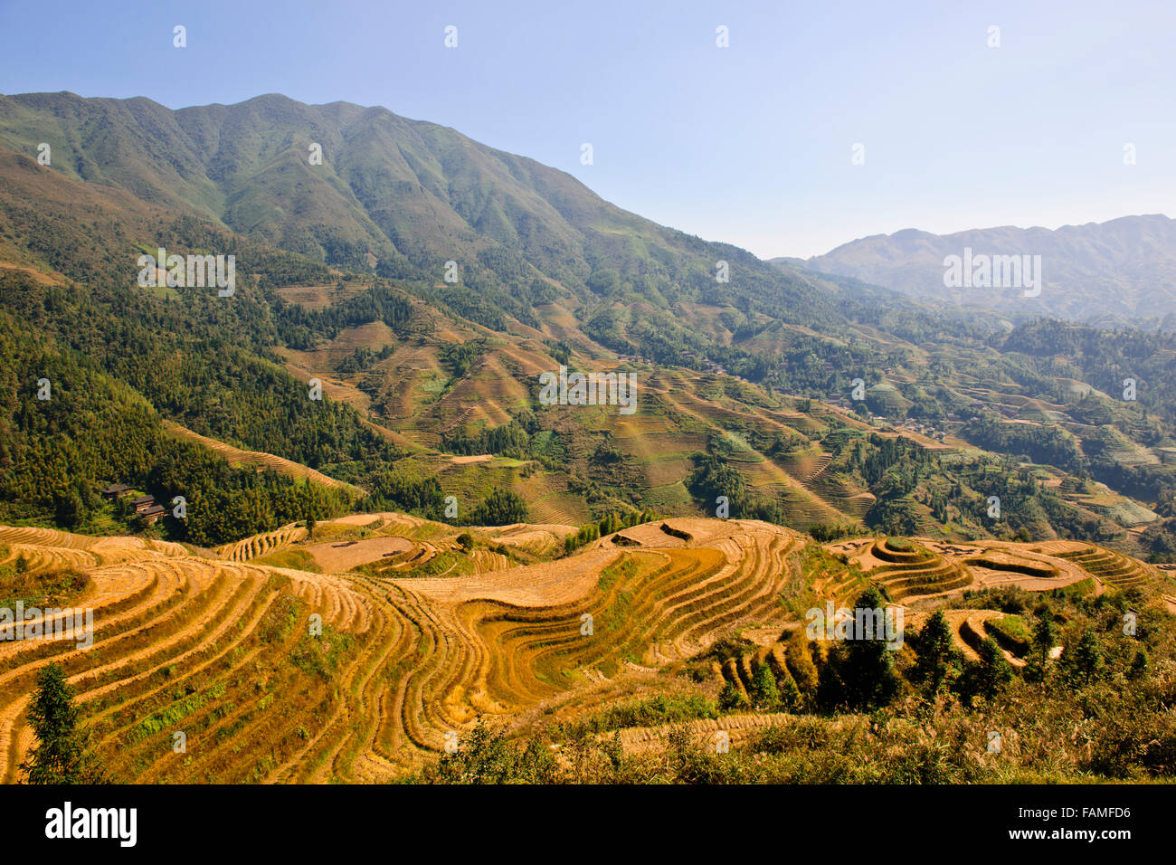 Jinkeng (Dazhai) Red Yao Terraced Fields,Surrounding Area,Rice Terraces ...