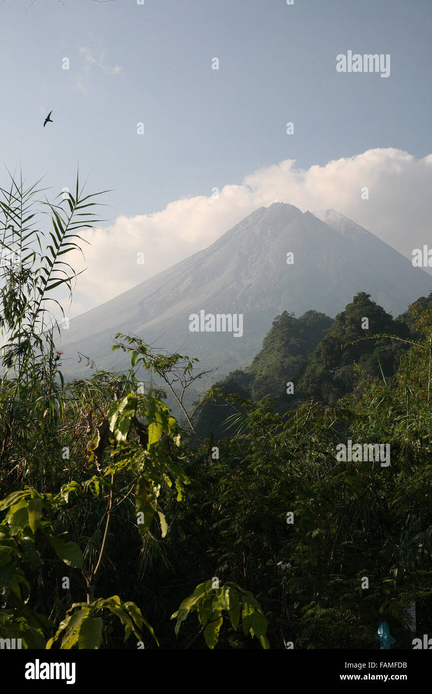 Indonesia Central Java Jogjakarta Mount Merapi National Park Mount ...