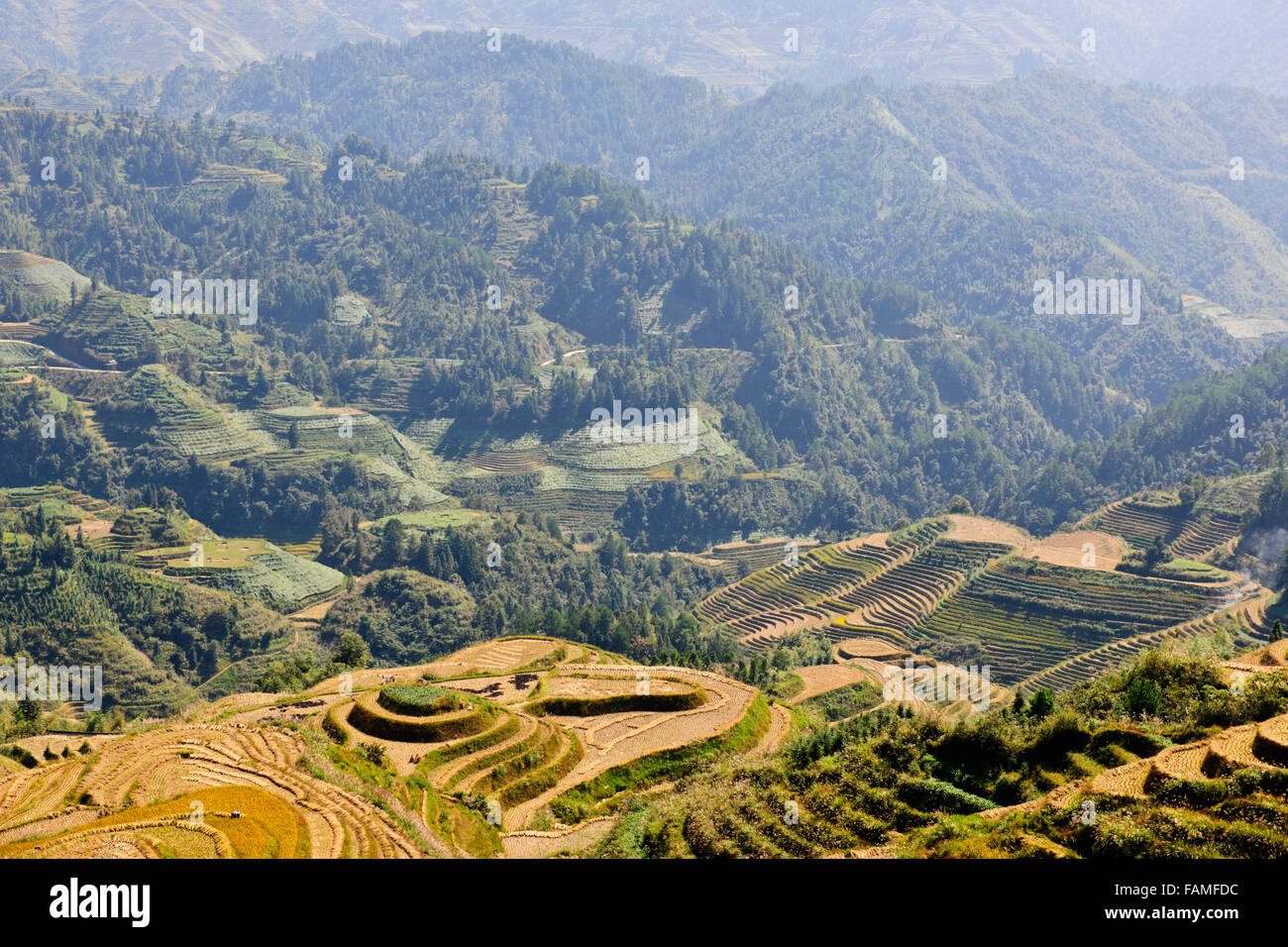 Jinkeng (Dazhai) Red Yao Terraced Fields,Surrounding Area,Rice Terraces ...