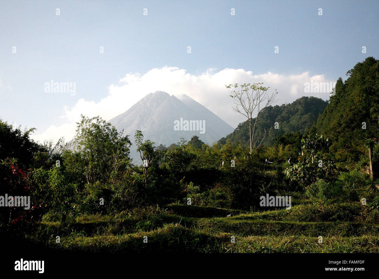 Indonesia Central Java Jogjakarta Mount Merapi National Park Mount ...