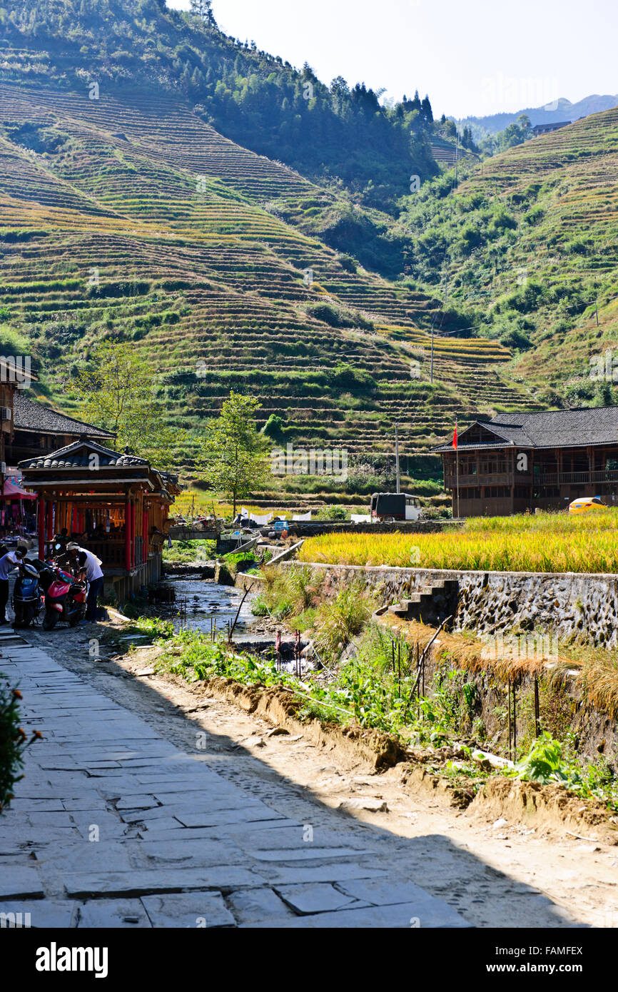 Jinkeng (Dazhai) Red Yao Terraced Fields,Surrounding Area,Rice Terraces ...