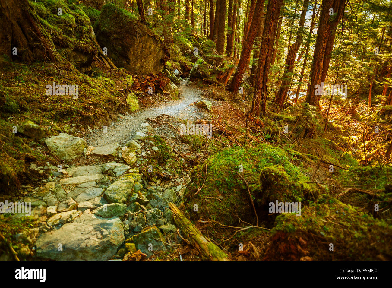 Sitka ranger district hi-res stock photography and images - Alamy