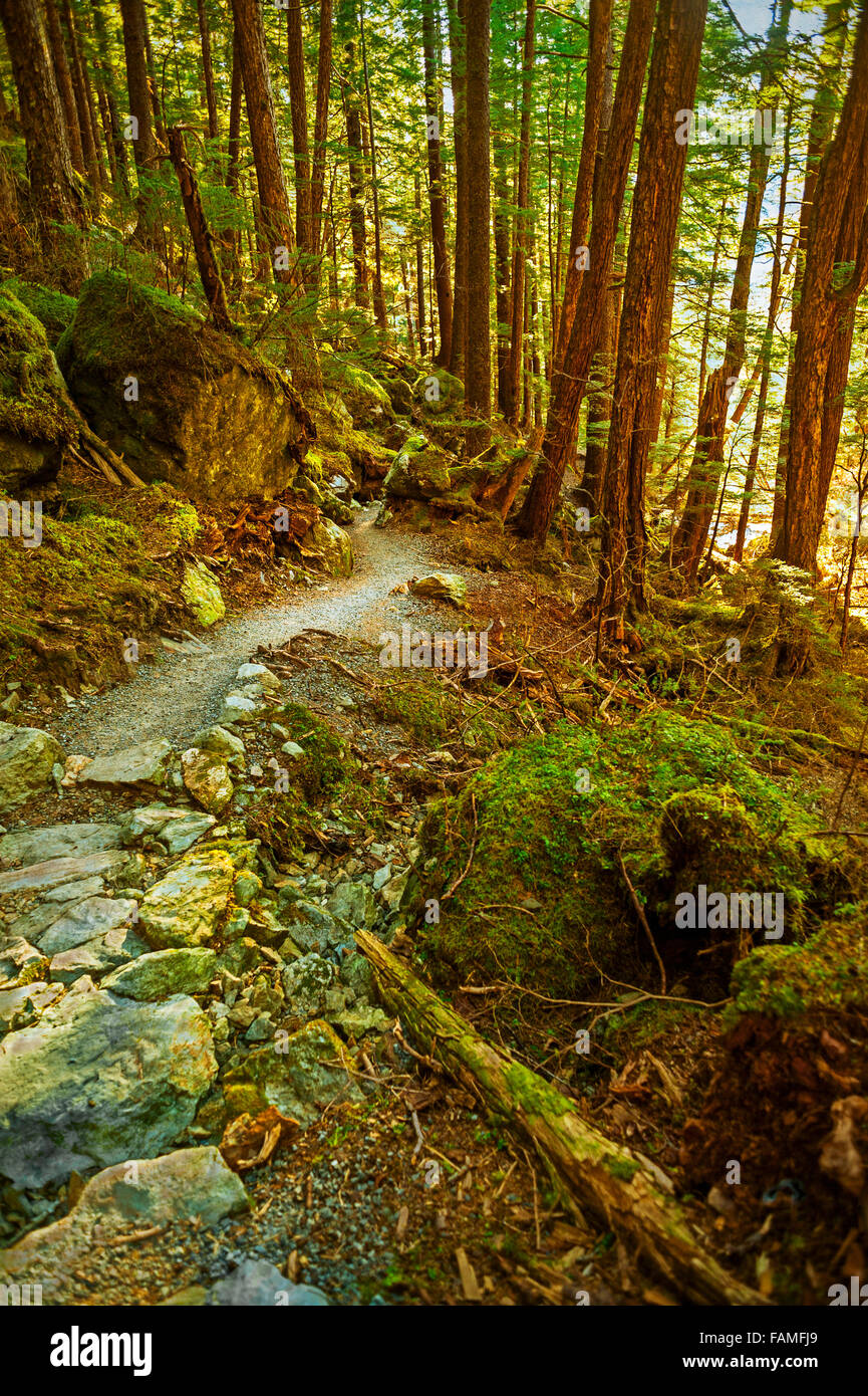 Bearver Lake Trail, Tongass National Forest near Sitka, Alaska, USA ...