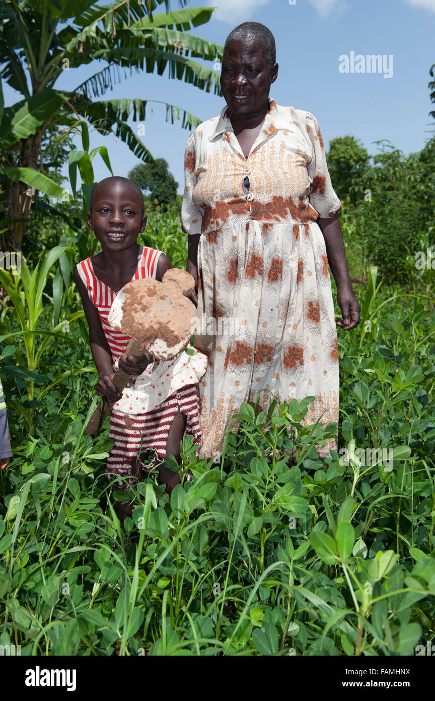 Grandmother teaching grandchildren how to use a hoe in a plot of ground ...