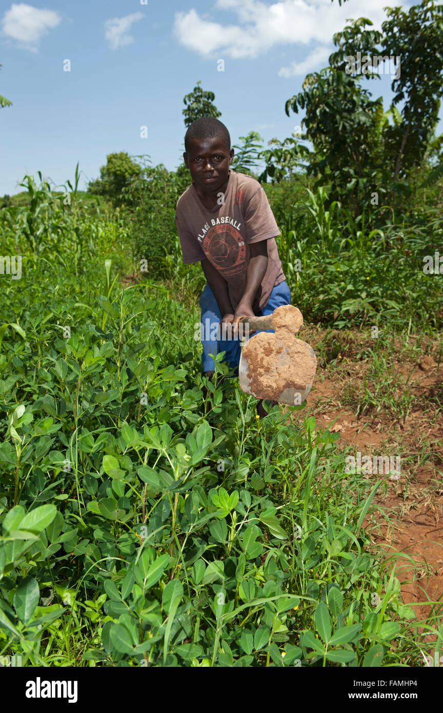 Hoe weeds hi-res stock photography and images - Alamy