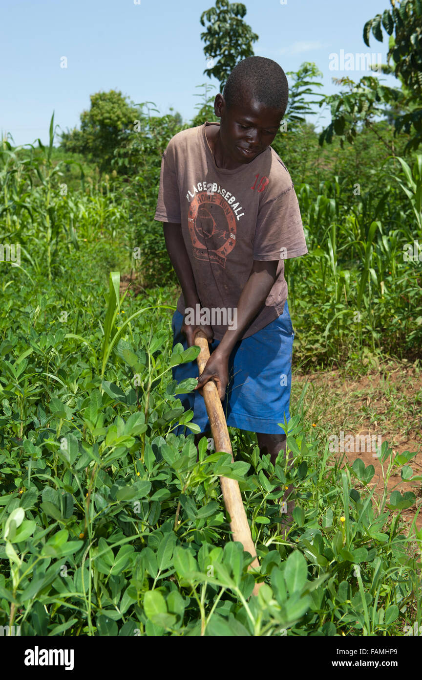 Kenyan boy hi-res stock photography and images - Alamy