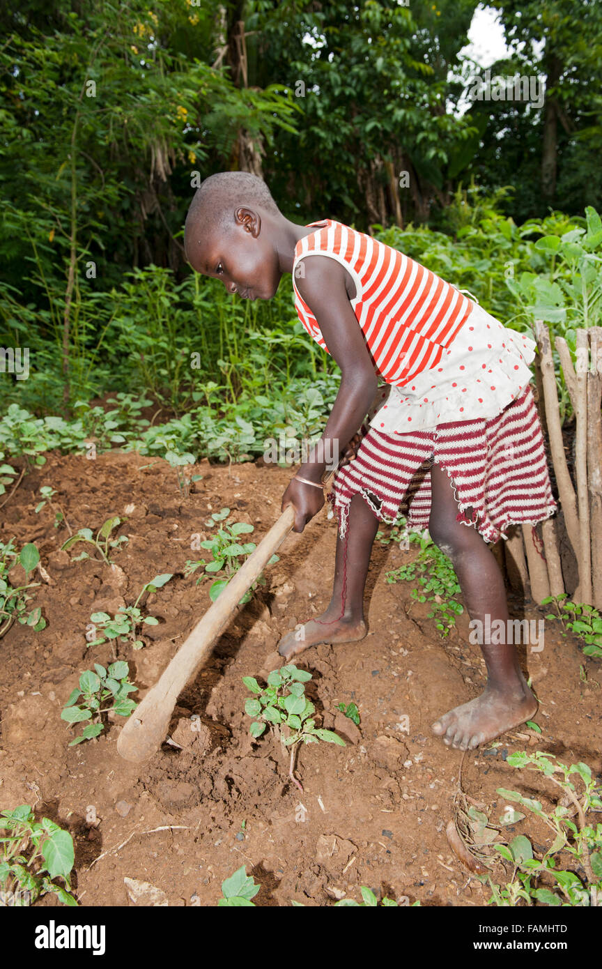Child using a hoe in a lush vegetable garden with torn clothes. Kenya ...