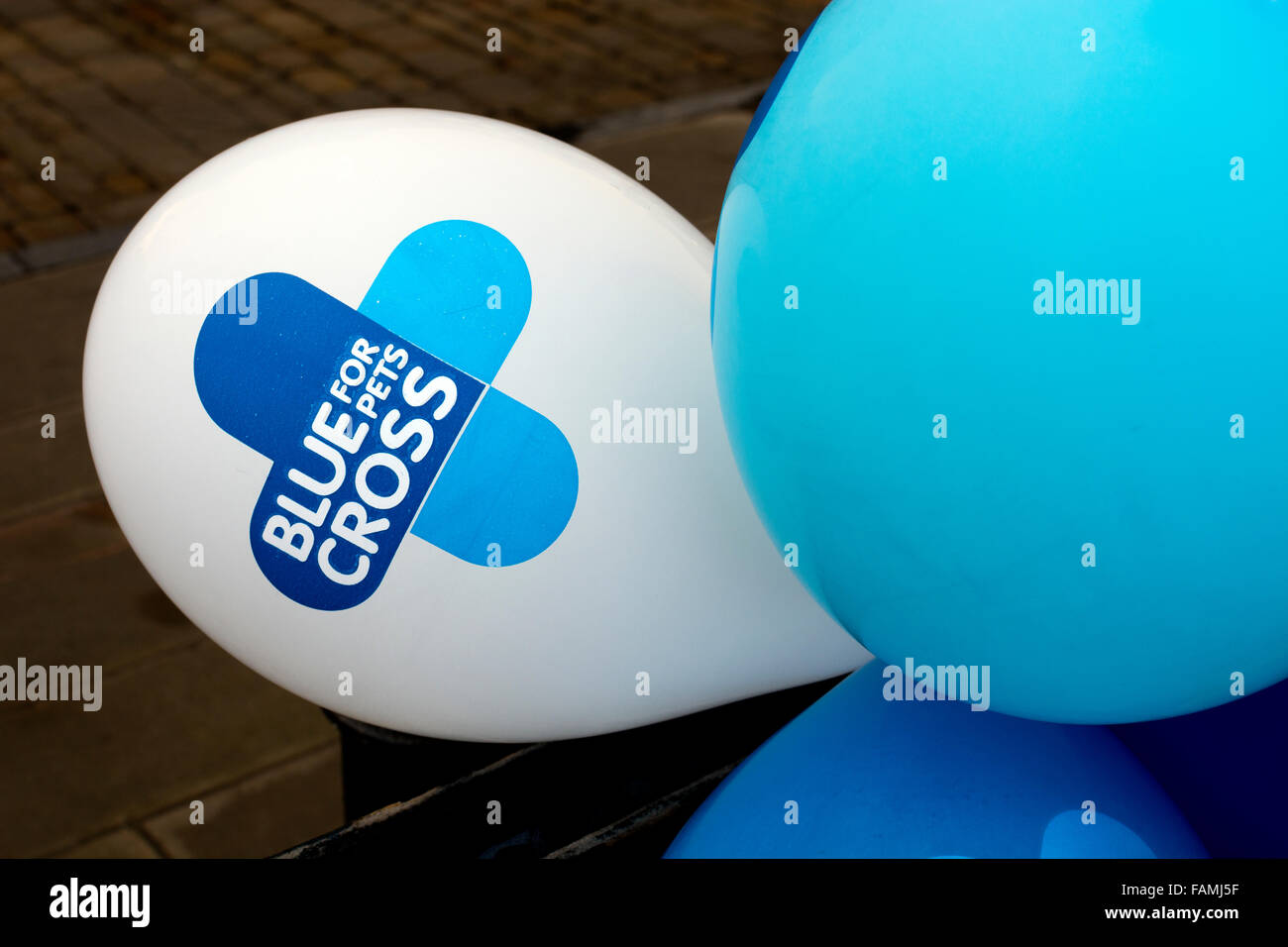 The blue cross charity hi-res stock photography and images - Alamy