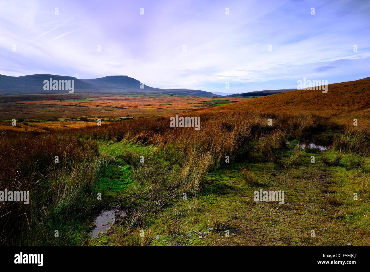 Ingleborough simon fell hi-res stock photography and images - Alamy