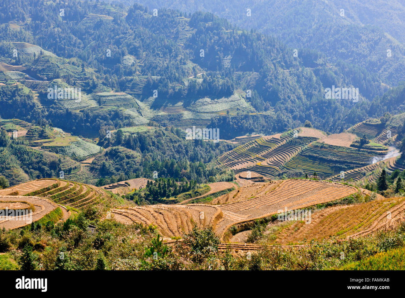 Jinkeng (Dazhai) Red Yao Terraced Fields,Surrounding Area,Rice Terraces ...