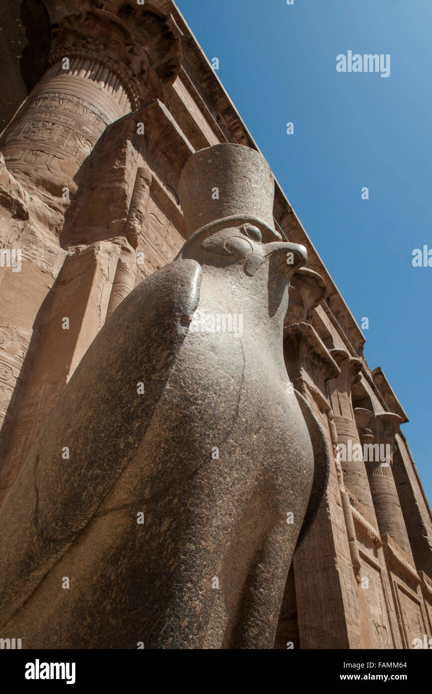 A falcon granite statue of Horus at the Hypostyle Hall, in the Temple ...