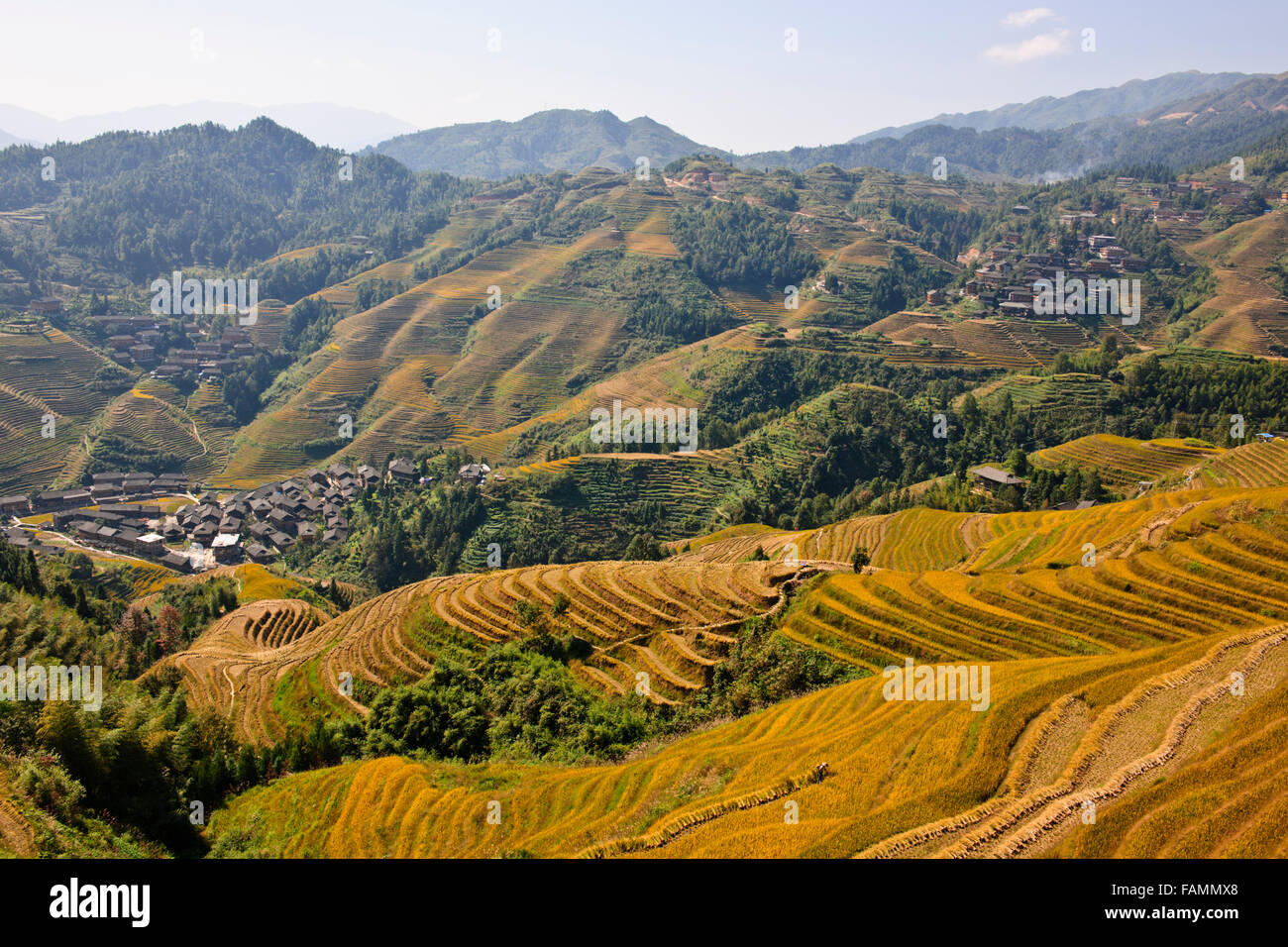 Jinkeng (Dazhai) Red Yao Terraced Fields,Surrounding Area,Rice Terraces ...