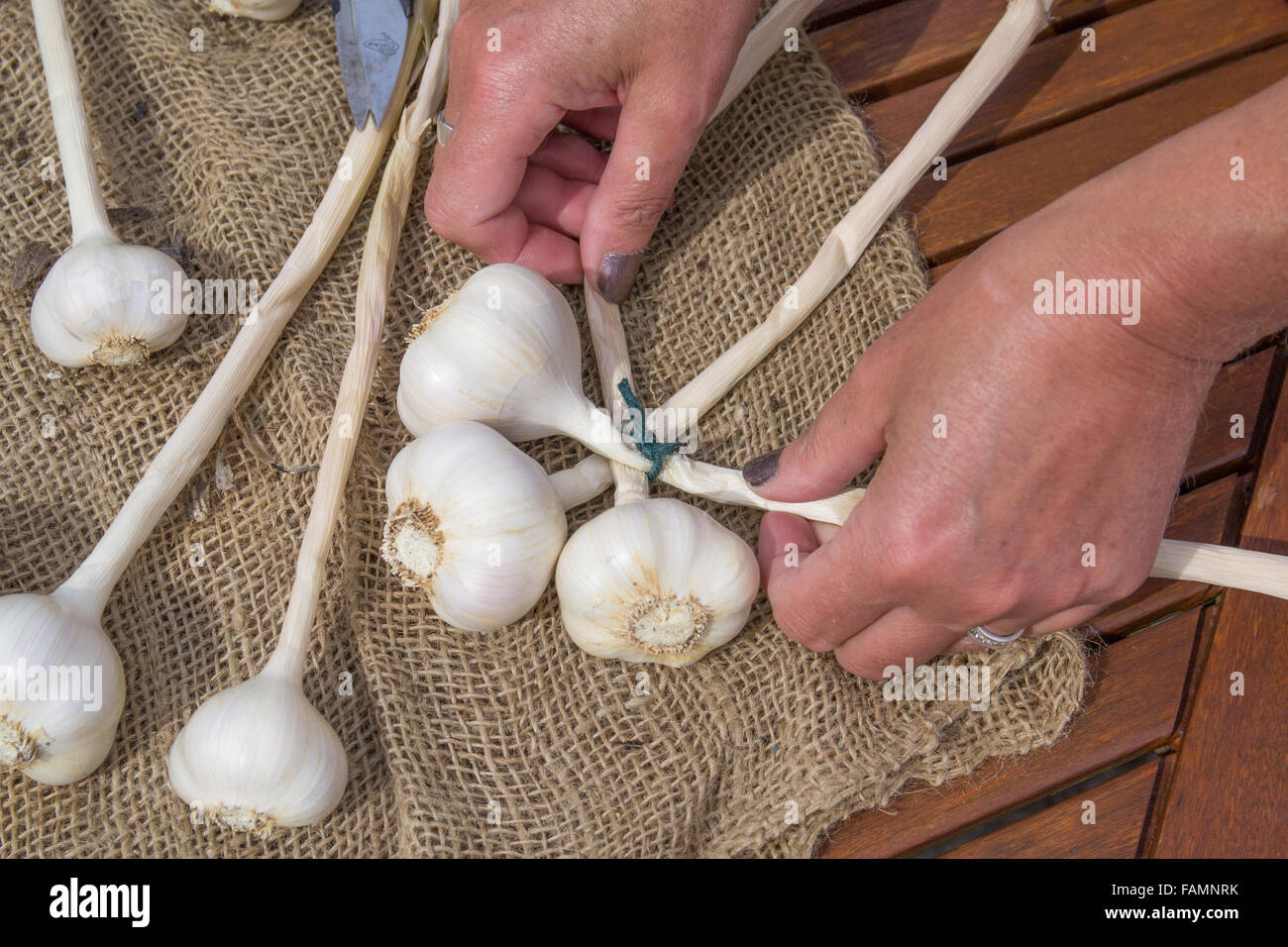 Plaiting hi-res stock photography and images - Alamy