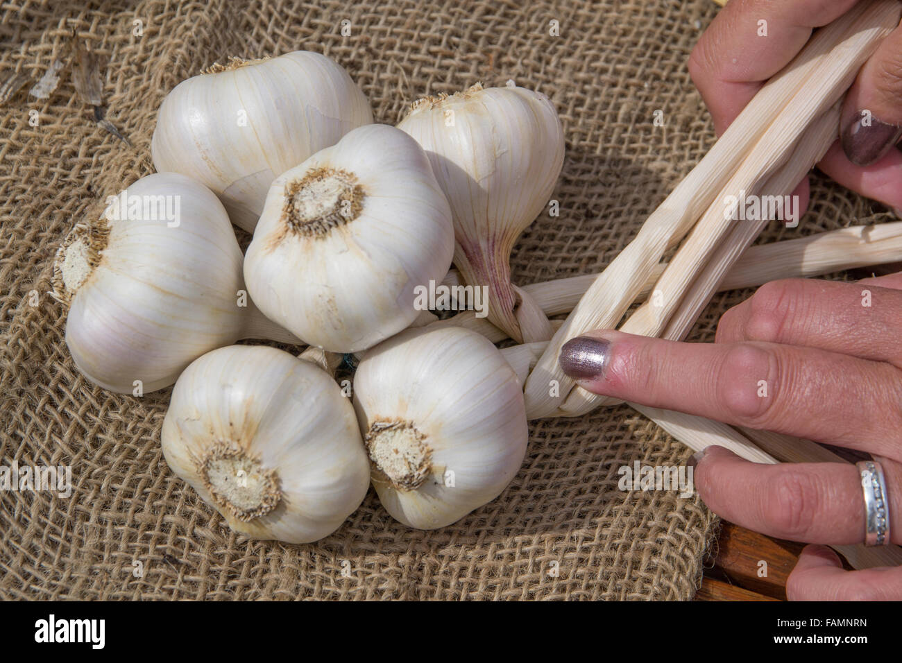Plaiting hi-res stock photography and images - Alamy