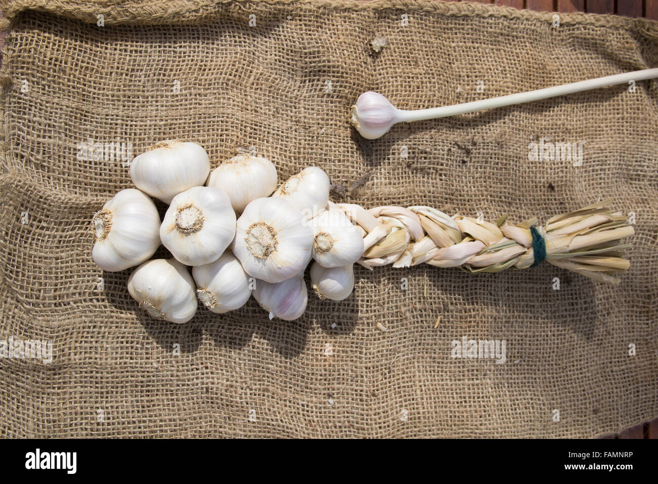 Plaiting hi-res stock photography and images - Alamy