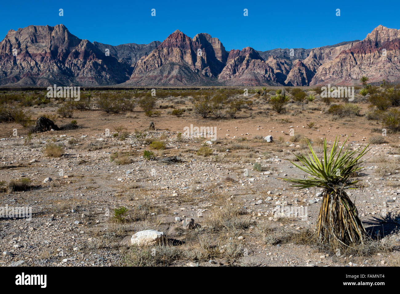 Yucca Mountains High Resolution Stock Photography and Images - Alamy