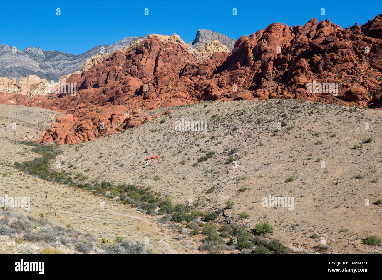 Sandstone rock landscape hi-res stock photography and images - Alamy