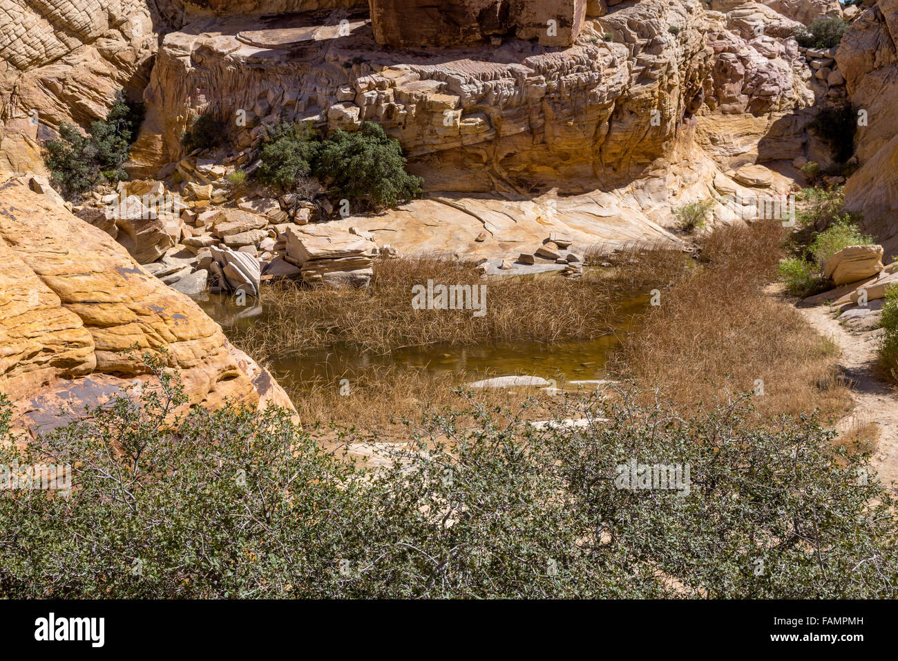 Nevada water tanks hi-res stock photography and images - Alamy