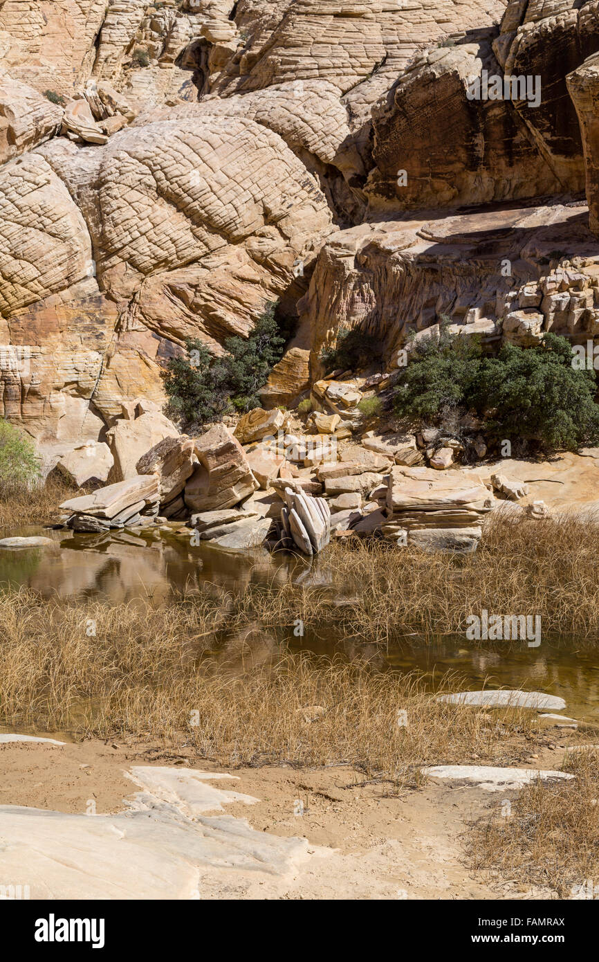 Calico tanks trail hi-res stock photography and images - Alamy