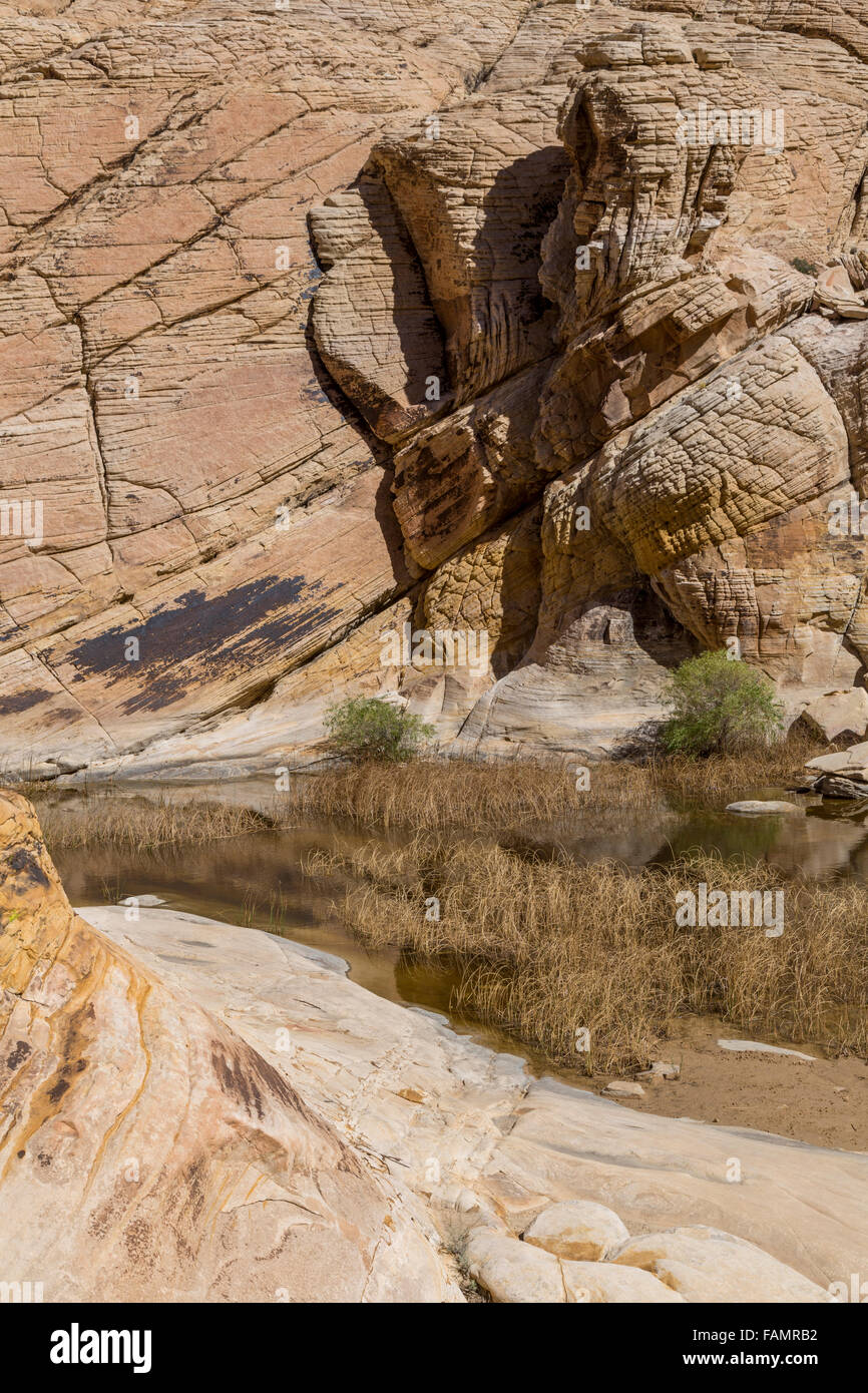 Calico tanks trail hi-res stock photography and images - Alamy