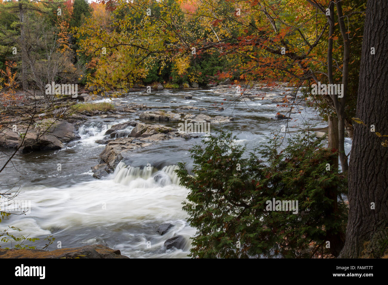 Spectacular, colorful autumn landscape in Parc Regional de la Riviere ...