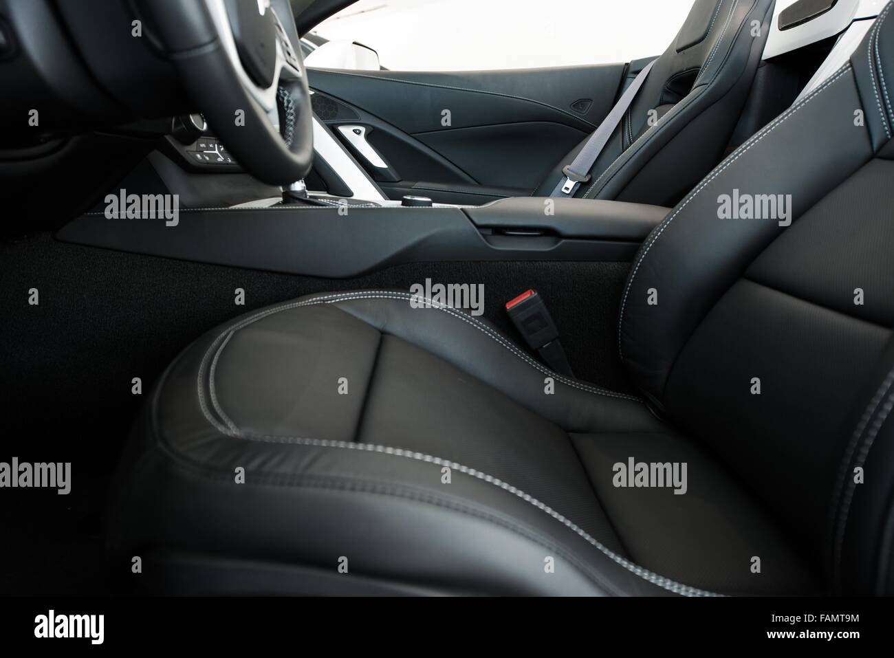 Leather Car Seat Front View