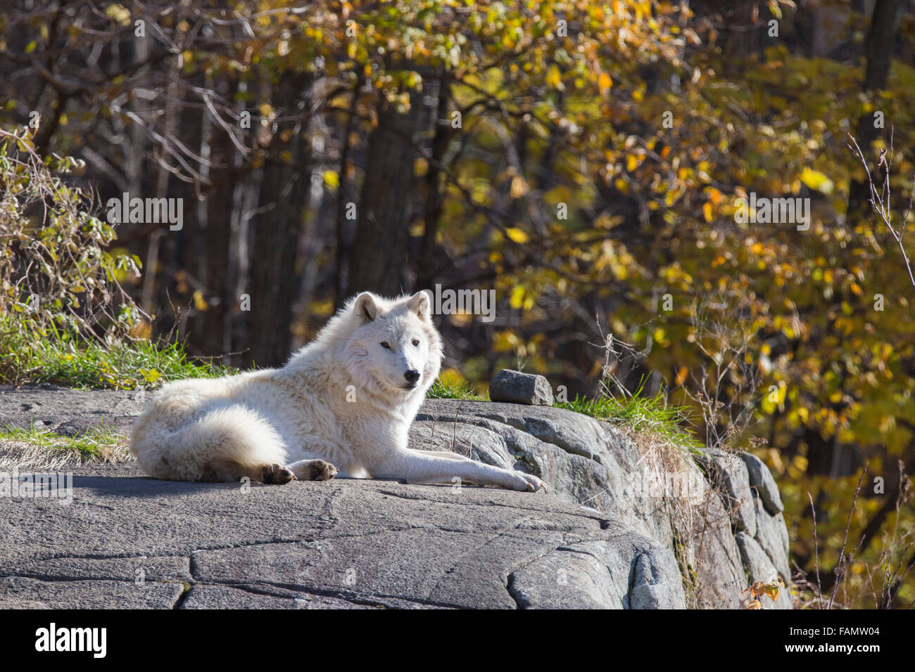 quebec, canada, north, cold, coldest Stock Photo - Alamy