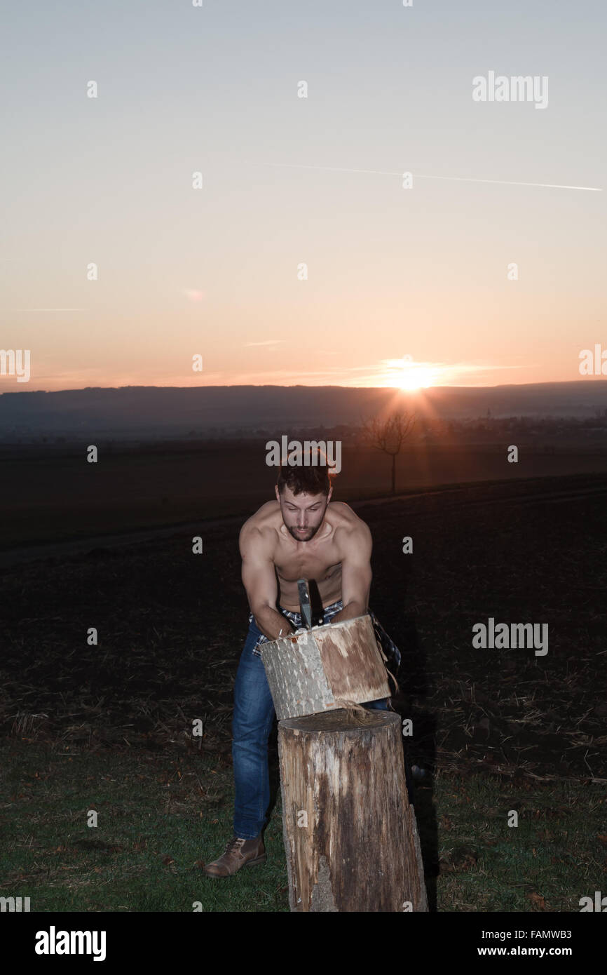 The stylish lumberjack chopping wood at sunset Stock Photo - Alamy