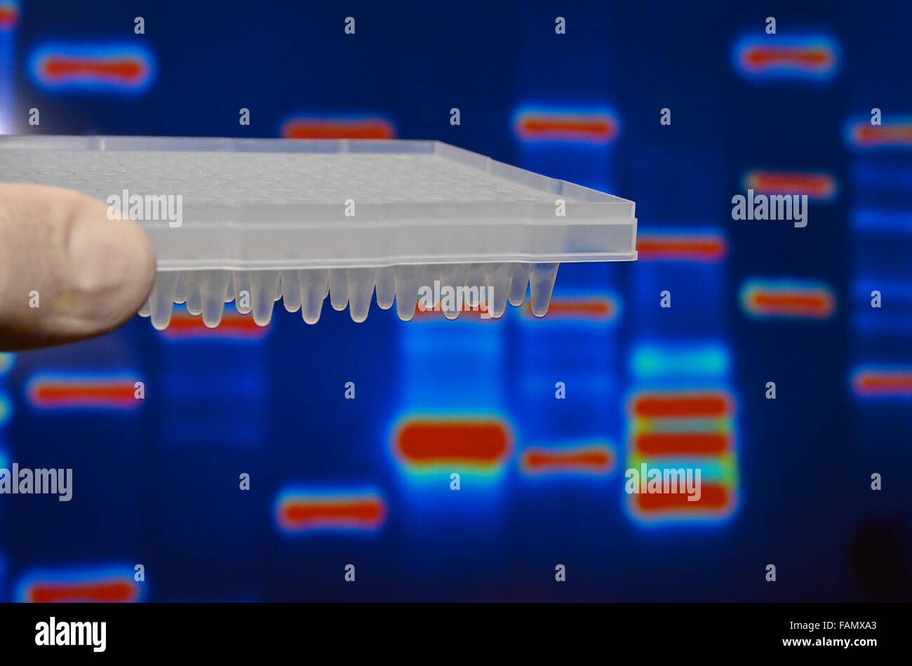 The DNA testing. Photo well plates at a scientific background Stock ...
