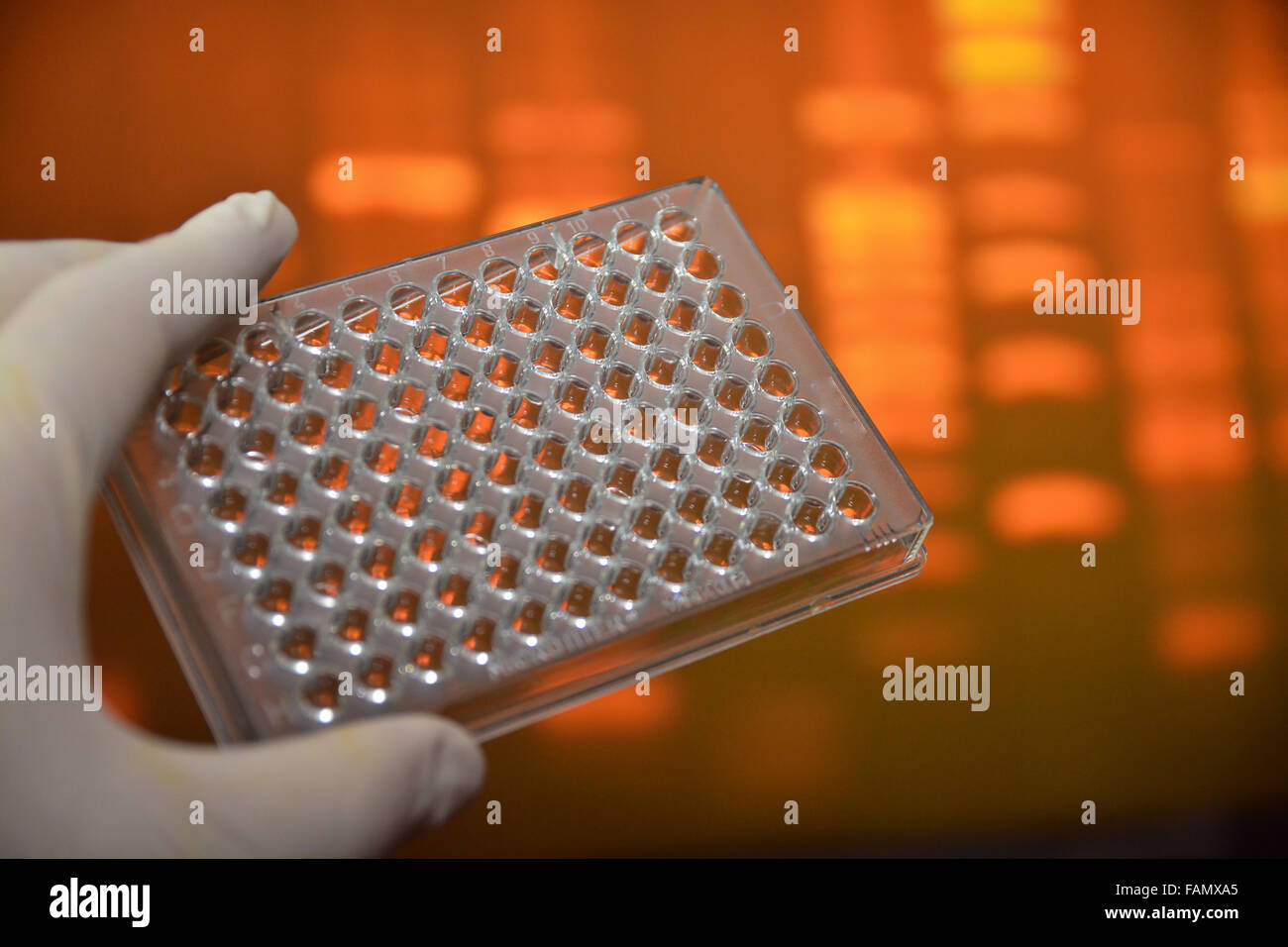 The DNA testing. Photo well plates at a scientific background Stock ...