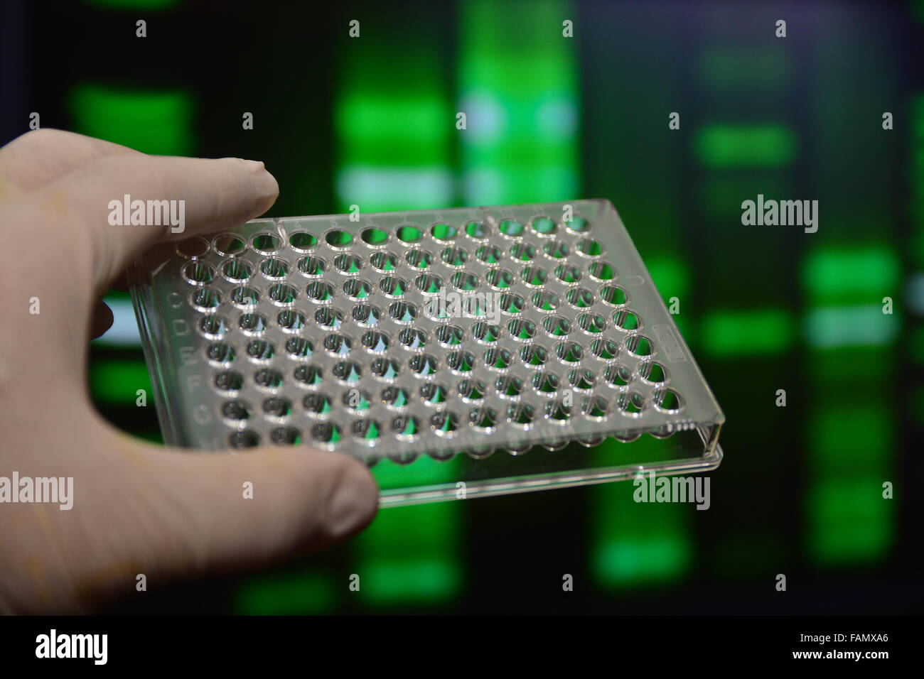 The DNA testing. Photo well plates at a scientific background Stock ...