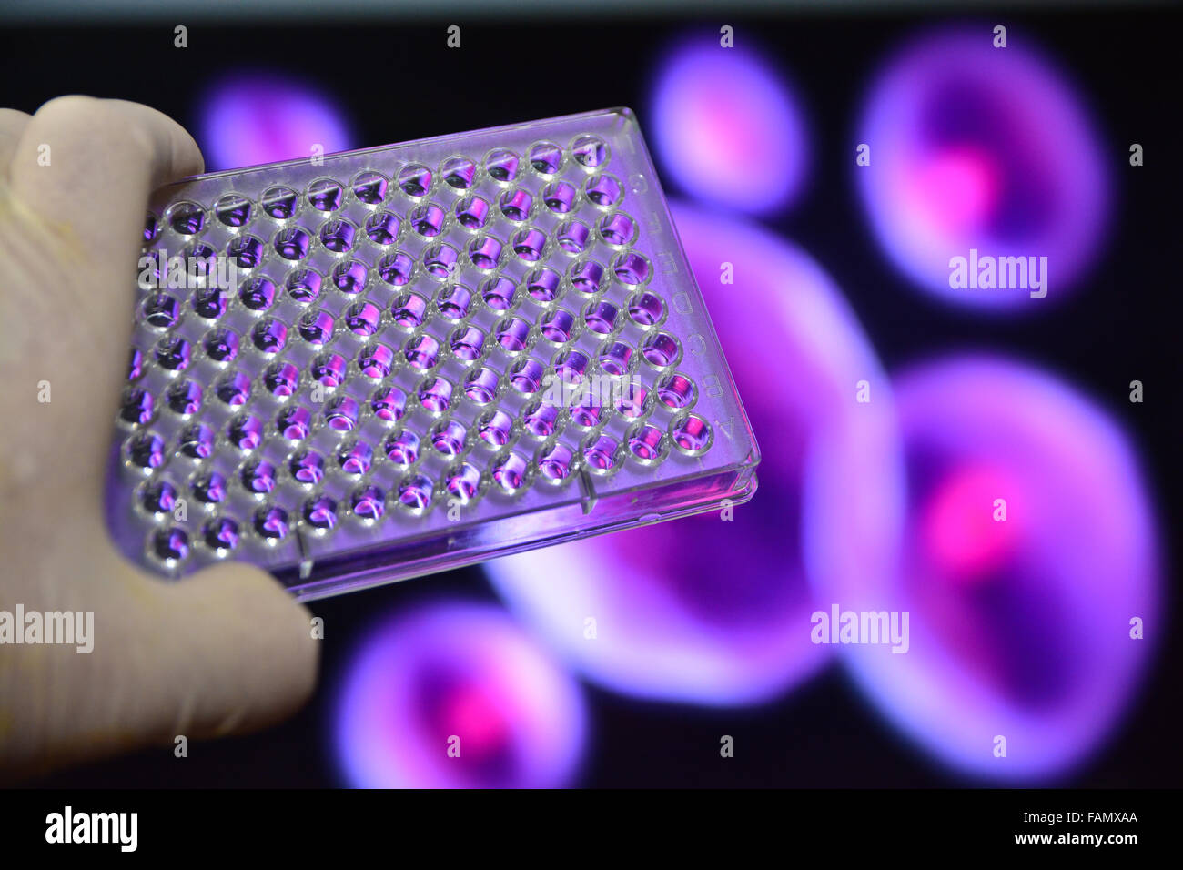The DNA testing. Photo well plates at a scientific background Stock ...