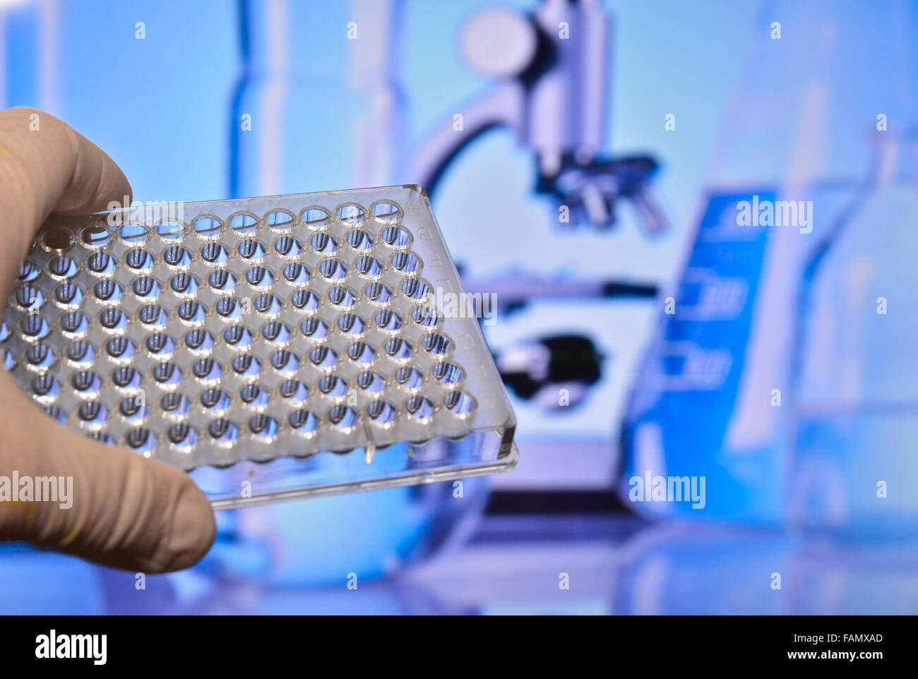 The DNA testing. Photo well plates at a scientific background Stock ...