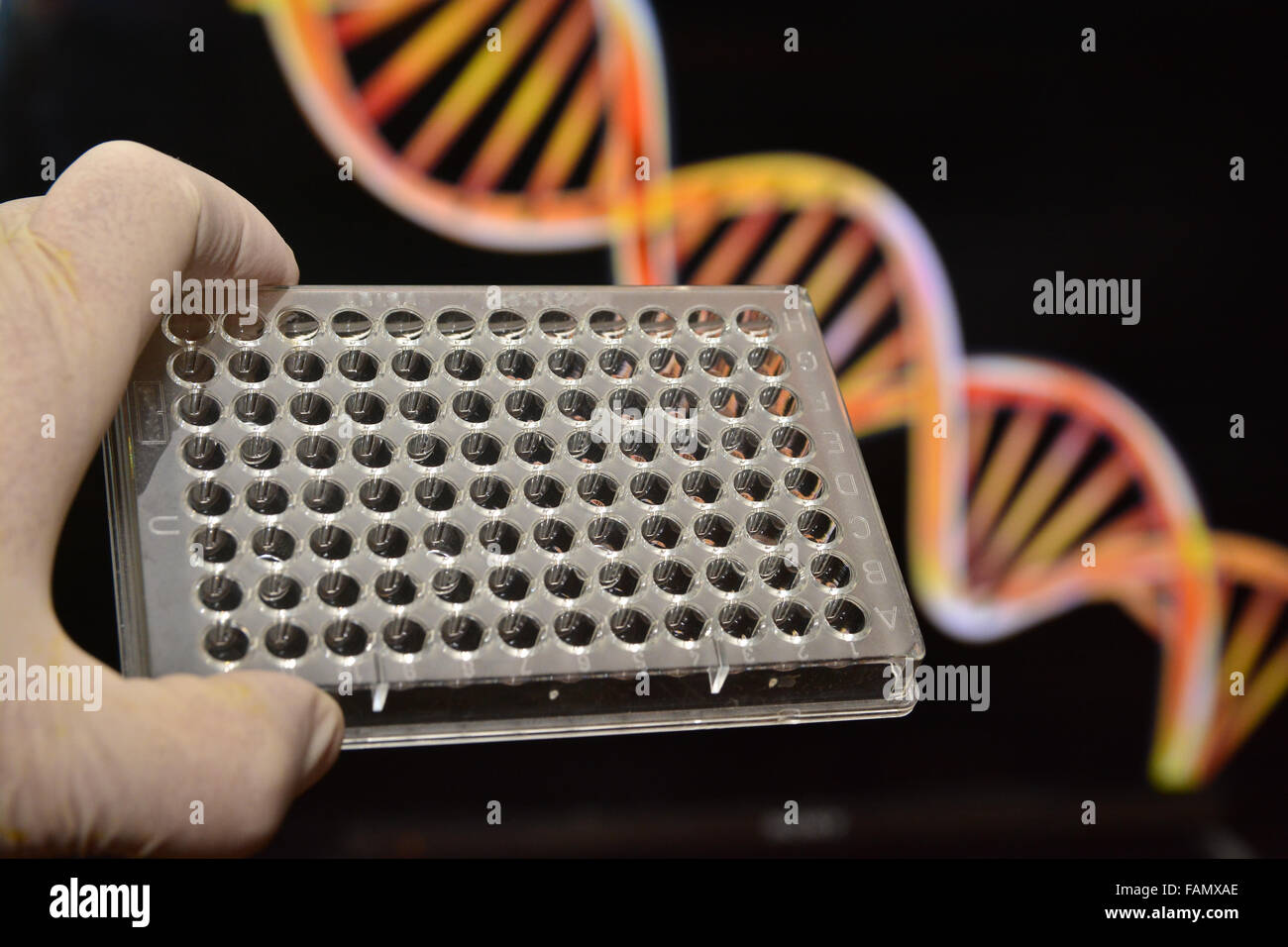 The DNA testing. Photo well plates at a scientific background Stock ...