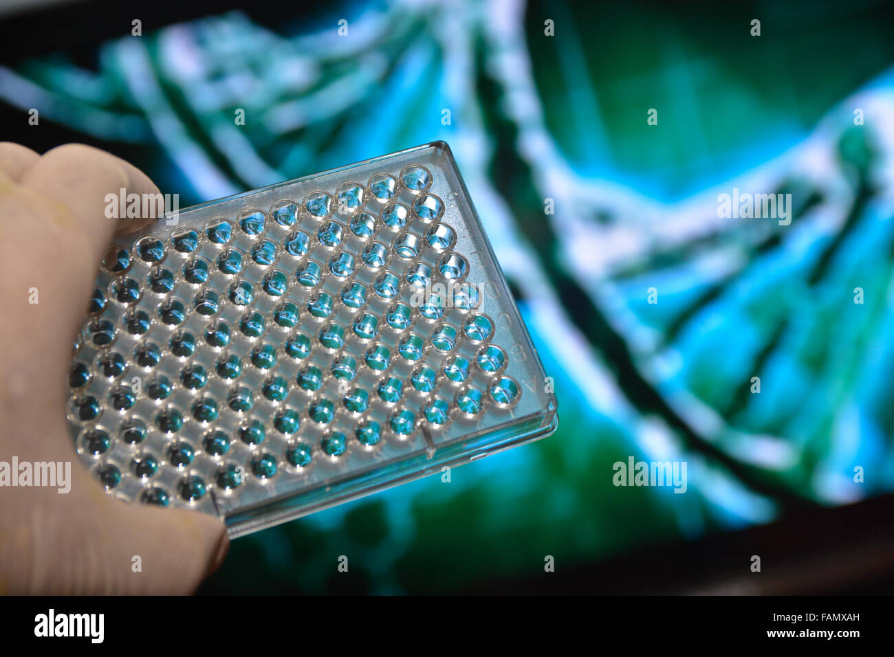 The DNA testing. Photo well plates at a scientific background Stock ...