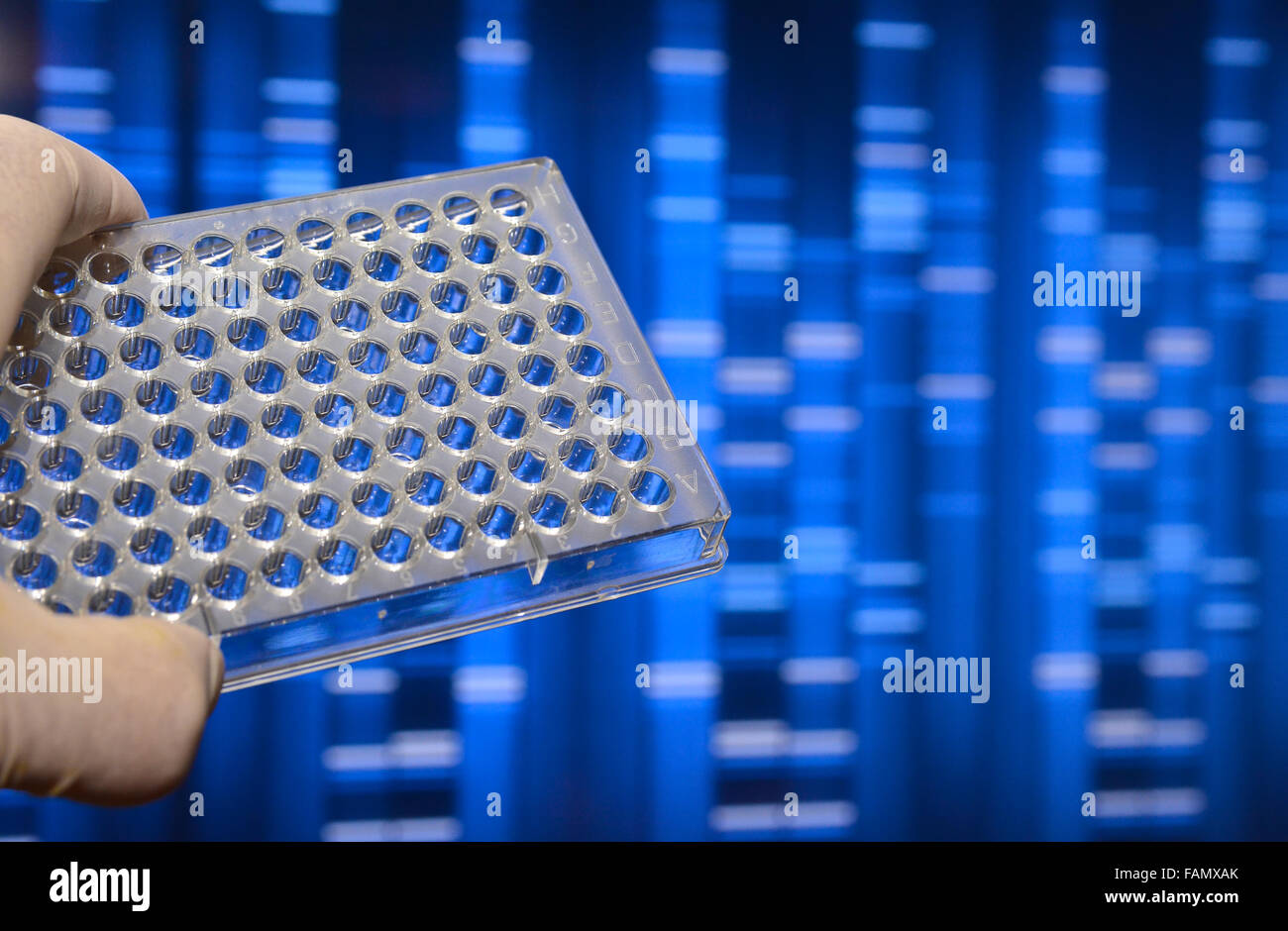 The DNA testing. Photo well plates at a scientific background Stock ...