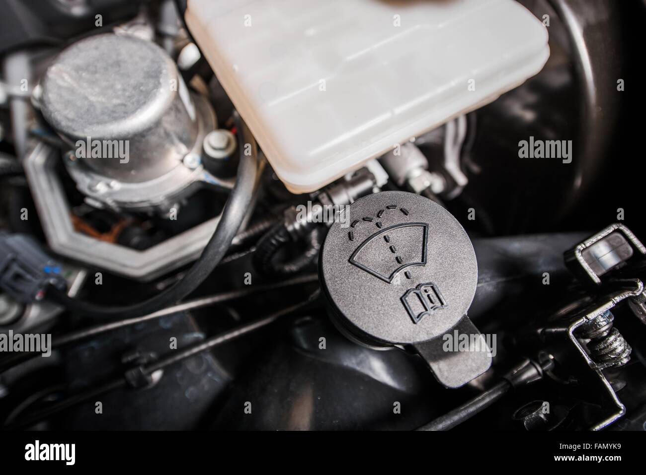 Cleaning water feature hi-res stock photography and images - Alamy