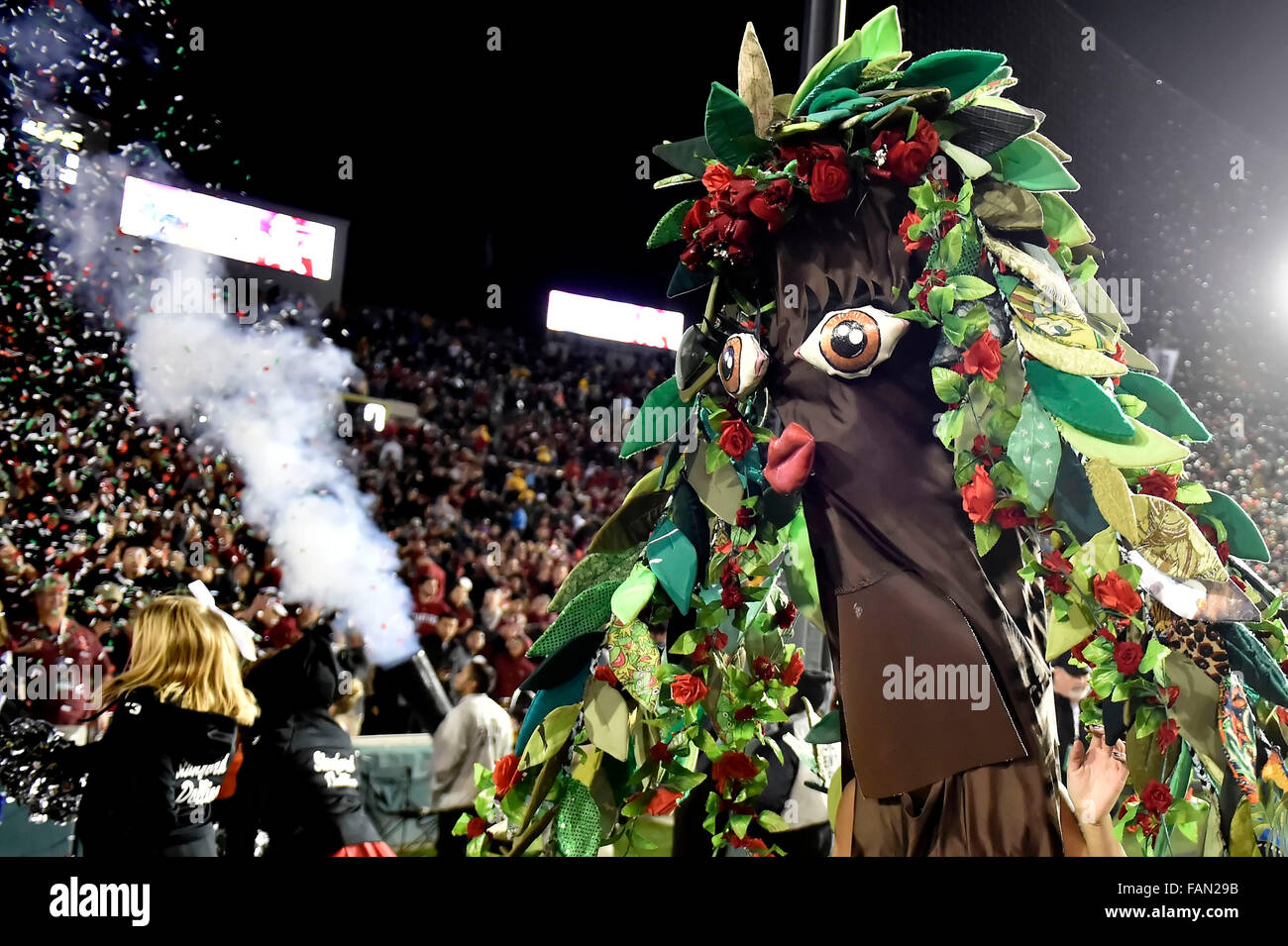 Pasadena, CA. 1st Jan, 2016. Stanford Cardinal Band members and the ...