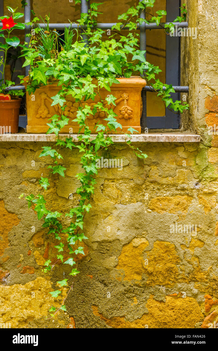 flower box in old town of Pienza, Tuscany Stock Photo - Alamy
