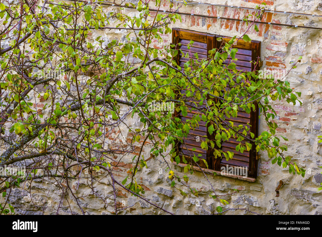 Stone house in tuscany hi-res stock photography and images - Alamy