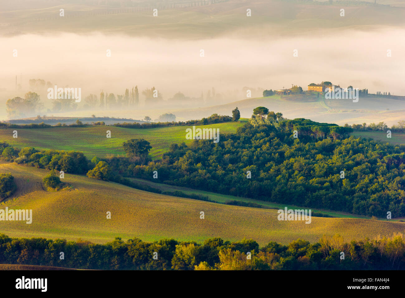 rolling hills and agricultural land near town of Pienza at dawn ...