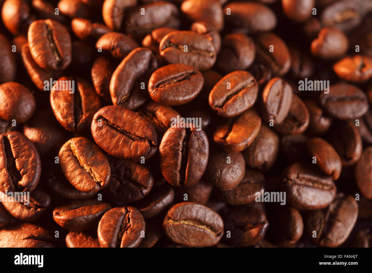 warm color of the roasted coffee bean Stock Photo - Alamy