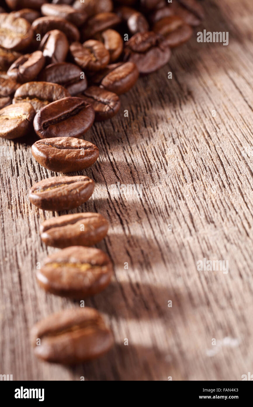 coffee beans in row, close-up Stock Photo - Alamy