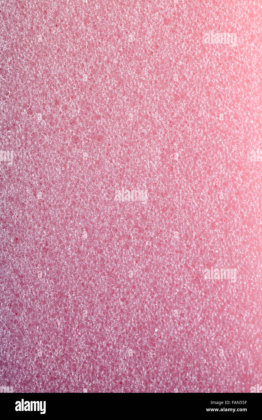 texture of the sponge in detail Stock Photo - Alamy