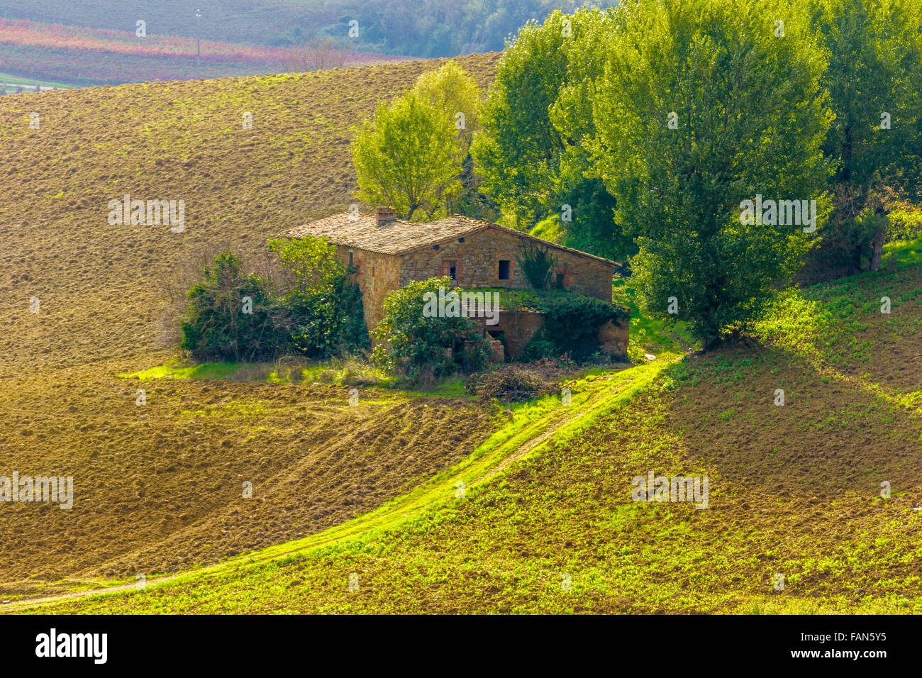 rustic stone farm house in rolling fields, Tuscany Stock Photo - Alamy